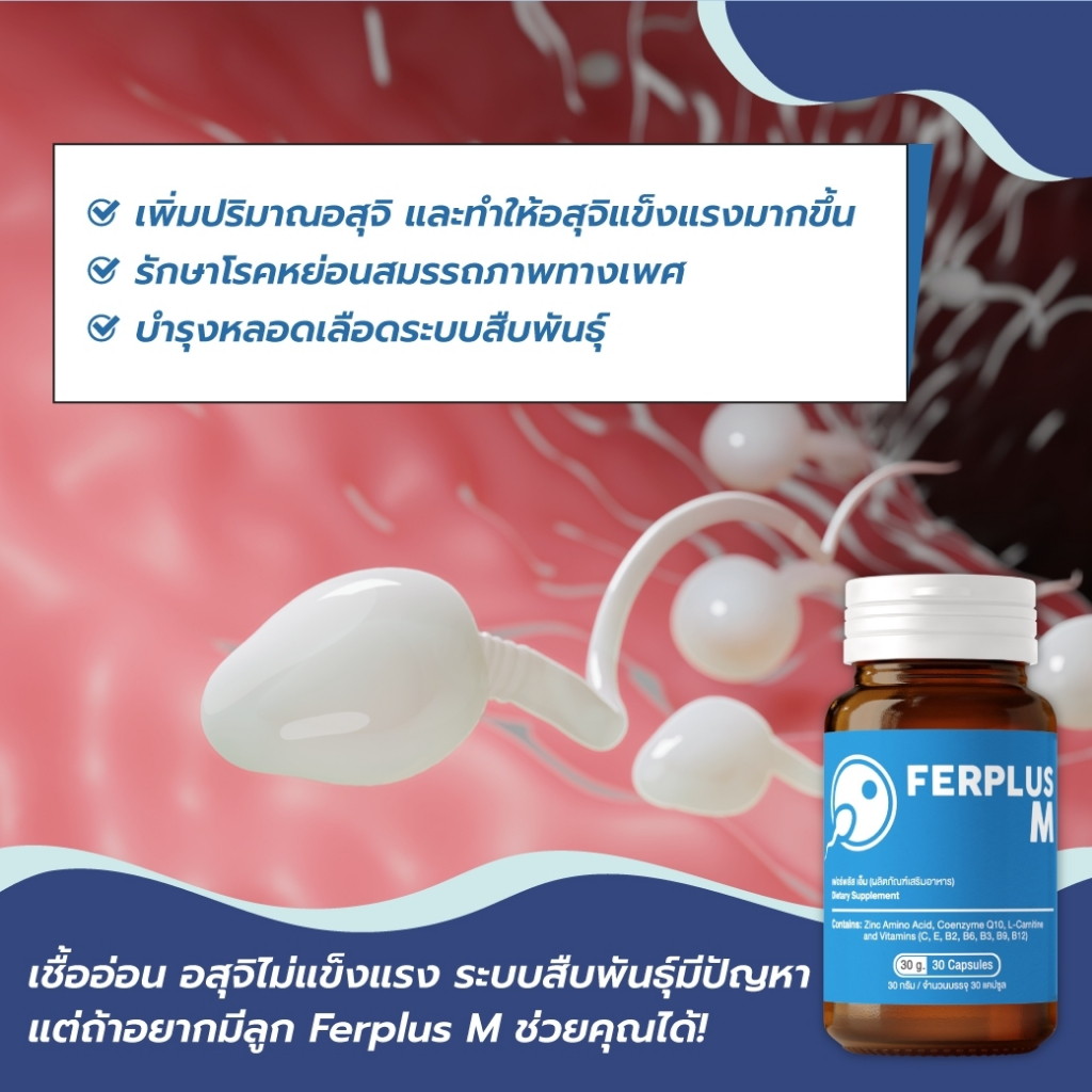 บำรุงอสุจิ Ferplus M เพิ่มอสุจิ เพิ่มโอกาสมีลูก สำหรับคนมีลูกยากอยากมีลูก | Shopee Thailand