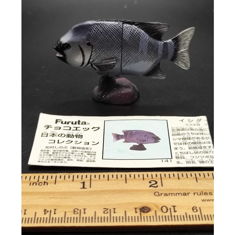ฟิกเกอร์ สัตว์จิ๋ว ปลากระพงดำ Kaiyodo Furuta Choco Egg Japanese Animal ...