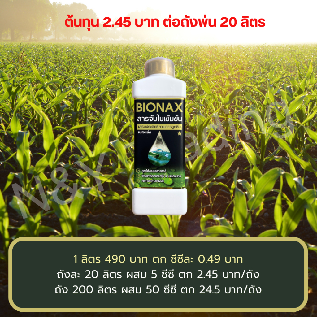 สารจับใบ Bionax ช่วยให้ปุ๋ยยาทำงานได้ดีขึ้น โตใบ ผลดก สินค้าของแท้จาก ...