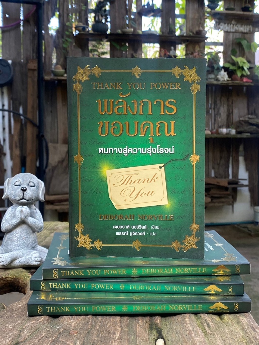 พลังแห่งการขอบคุณ Thank You Power (สต๊อก สนพ) G3-49 | Shopee Thailand