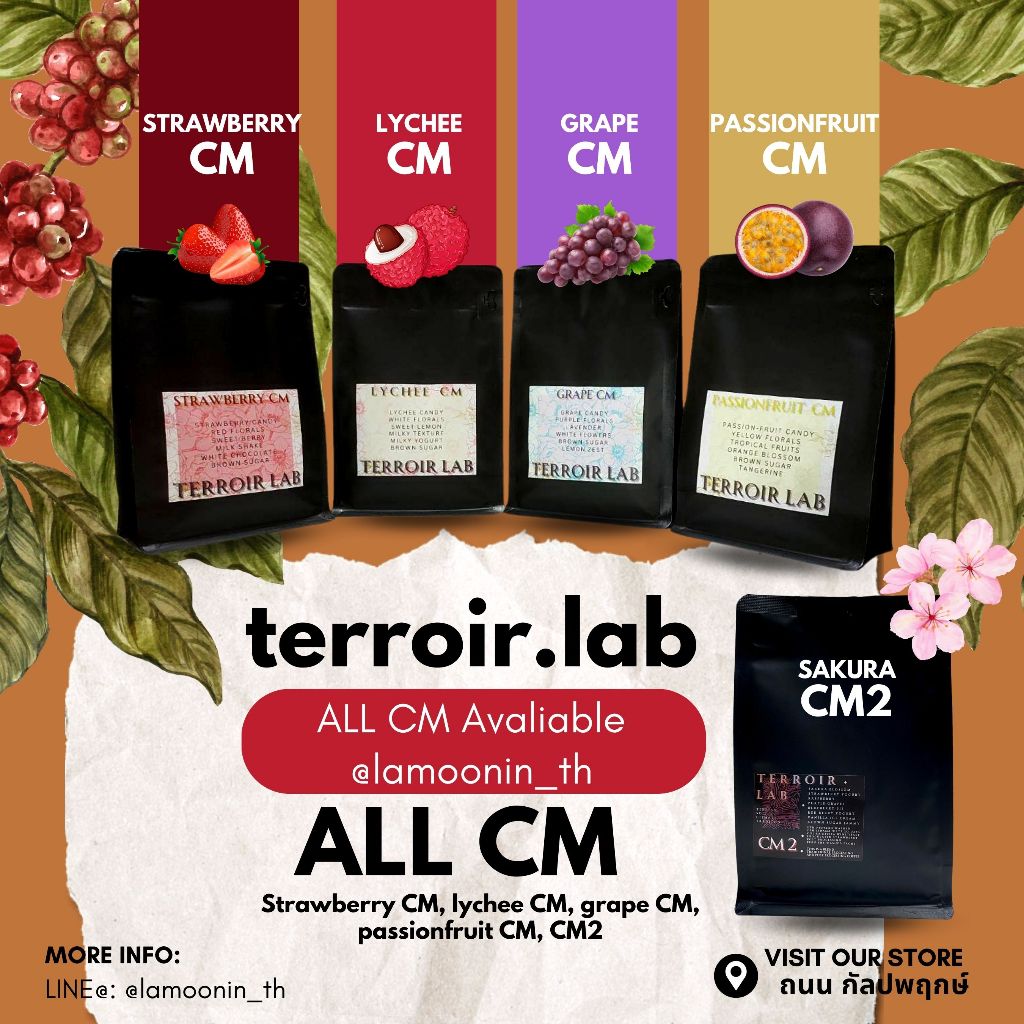 เมล็ดกาแฟ " ALL CM " ทั้งหมด CM2, Strawberry Cm, Lychee Cm, Grape Cm ...