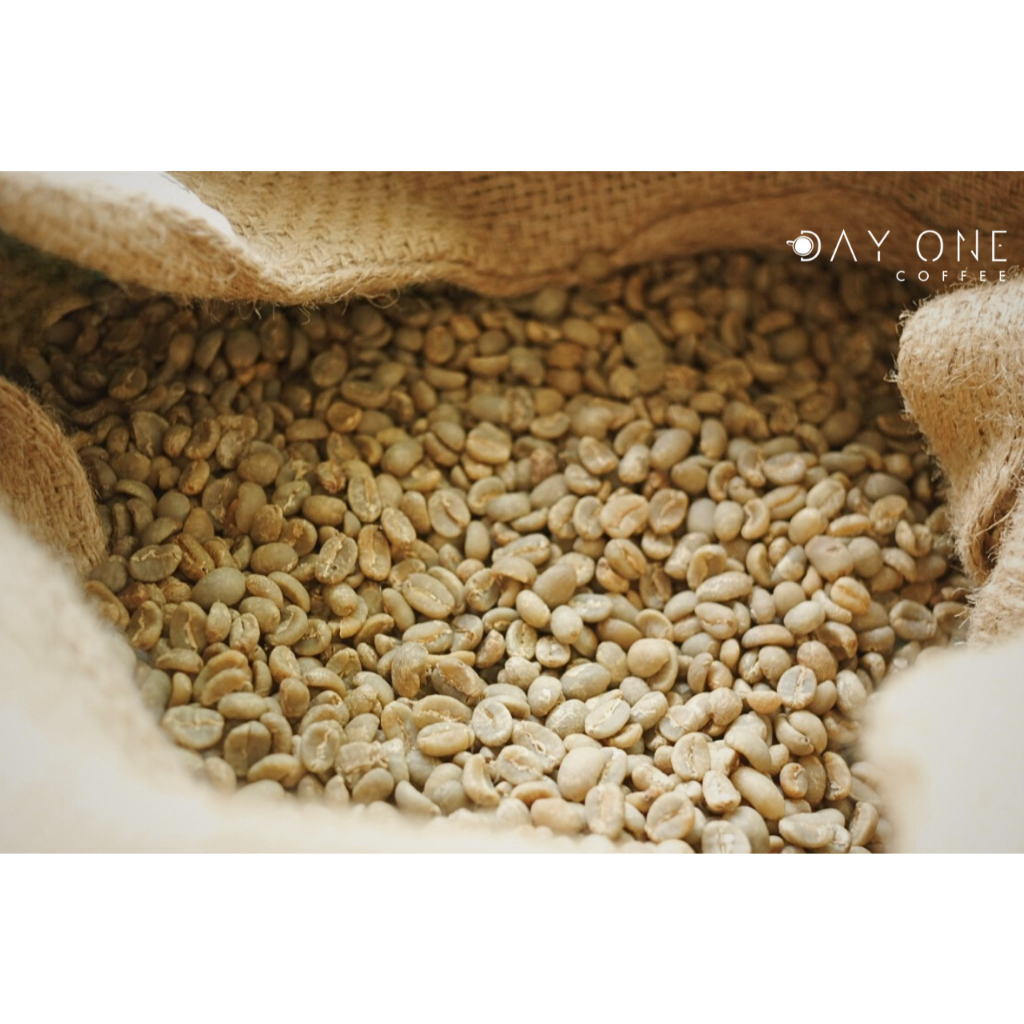 เมล็ดกาแฟดิบ INDONESIA MANDHELING DP Wet Hulled ( DAY ONE COFFEE ...