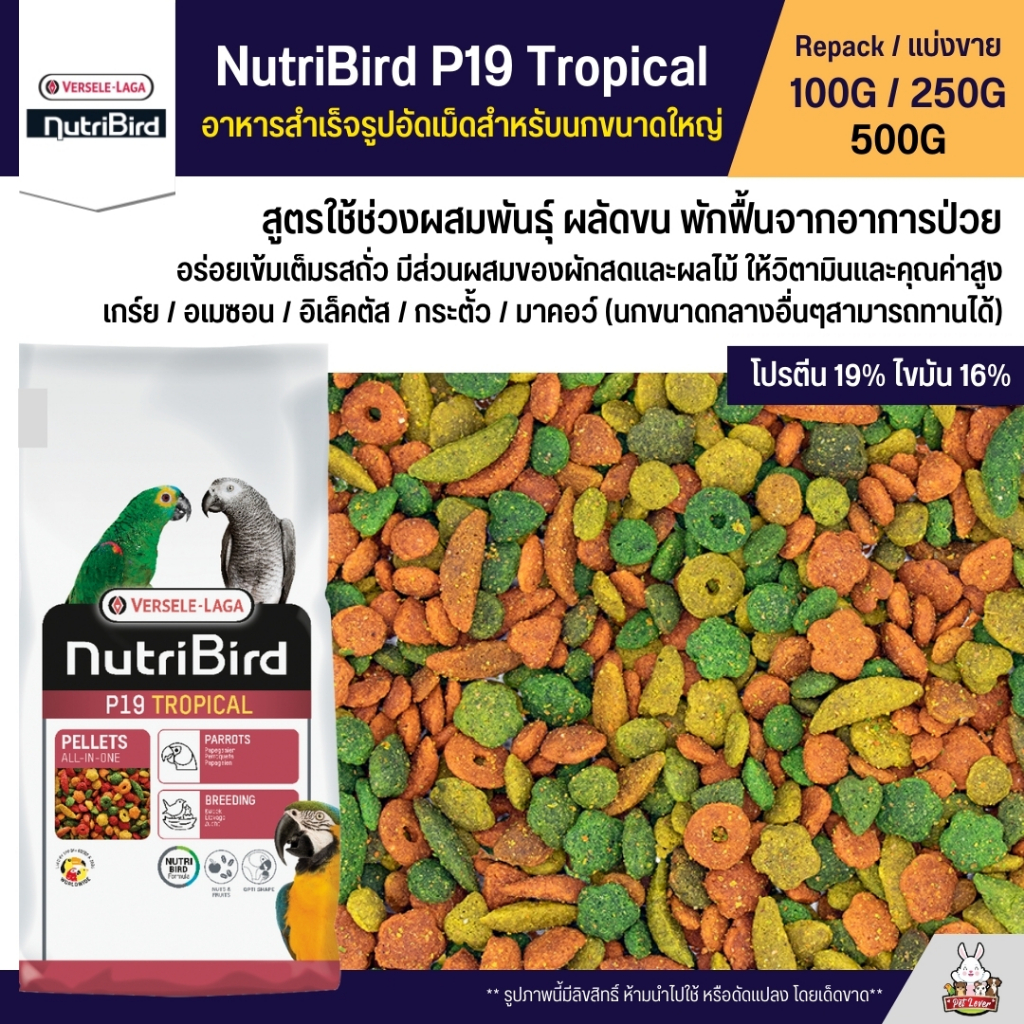NutriBird P19 Tropical อาหารนกแก้ว อัดเม็ดสำเร็จรูป สำหรับนกขนาดกลาง ...