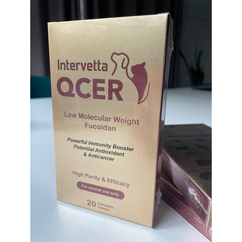 QCER 20 เม็ด * แท้💯% * ฉลากไทย🇹🇭ผลิตภัณฑ์ต่อต้านมะเร็งและเสริมภูมิคุ้มกันให้สมดุล | Shopee Thailand