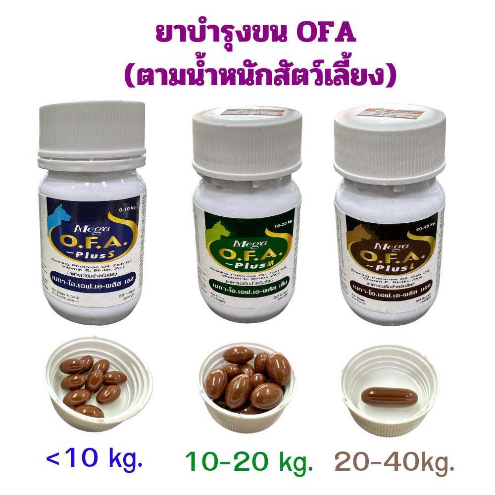 Mega OFA Plus - อาหารเสริมบำรุงขน สำหรับสุนัขและแมว โอเอฟเอ เม็ดซอฟท์ ...