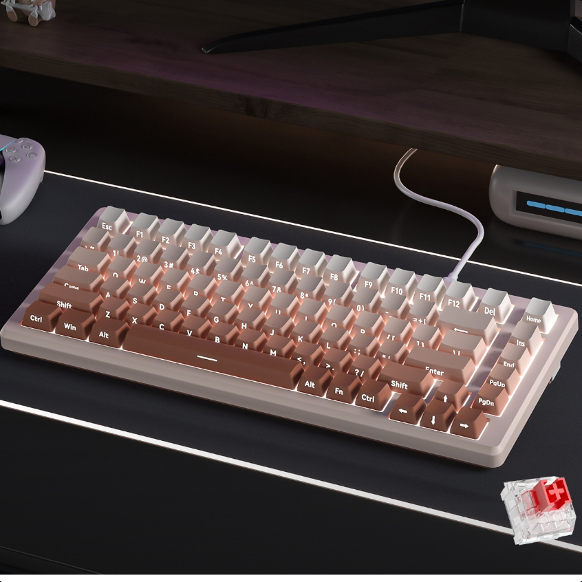 ZIFRIEND ZT99 คีย์บอร์ดเครื่องกล 99 คีย์ Hotswap ด้านข้างแกะสลัก RGB ...