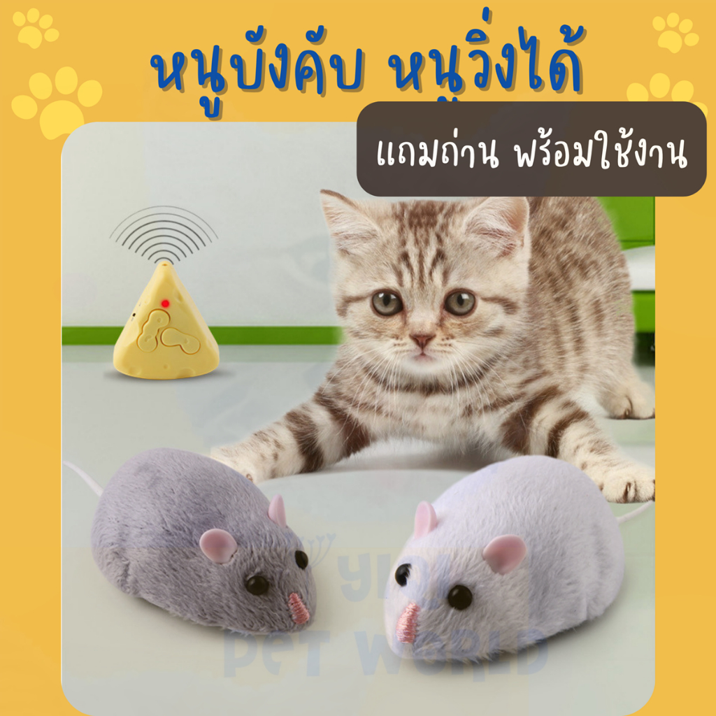 🔥 (พร้อมส่งจากไทย) ของเล่นแมว หนูบังคับ หนูวิ่งได้ สัตว์เลี้ยง รีโมท ...