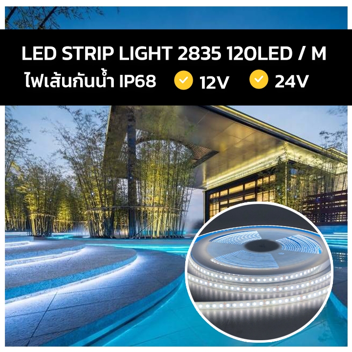 LED STRIP LIGHT 2835 ไฟเส้นกันน้ำ 12V 24V IP68 LED120/M | Shopee Thailand