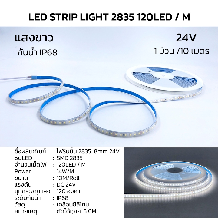 LED STRIP LIGHT 2835 ไฟเส้นกันน้ำ 12V 24V IP68 LED120/M | Shopee Thailand