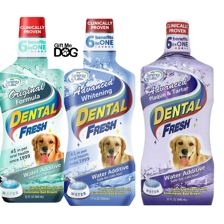 Dental Fresh ผลิตภัณฑ์กำจัดกลิ่นปากและยับยังการเกิดคราบหินปูน สำหรับ ...