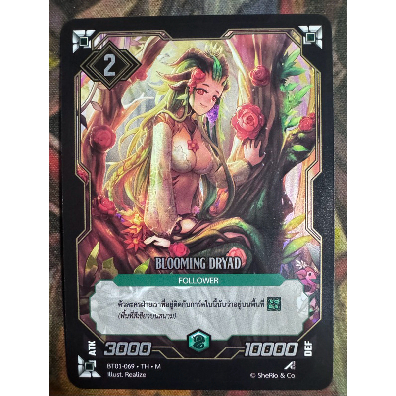 EVEDEN BT01 แยกใบ ระดับ M | Shopee Thailand