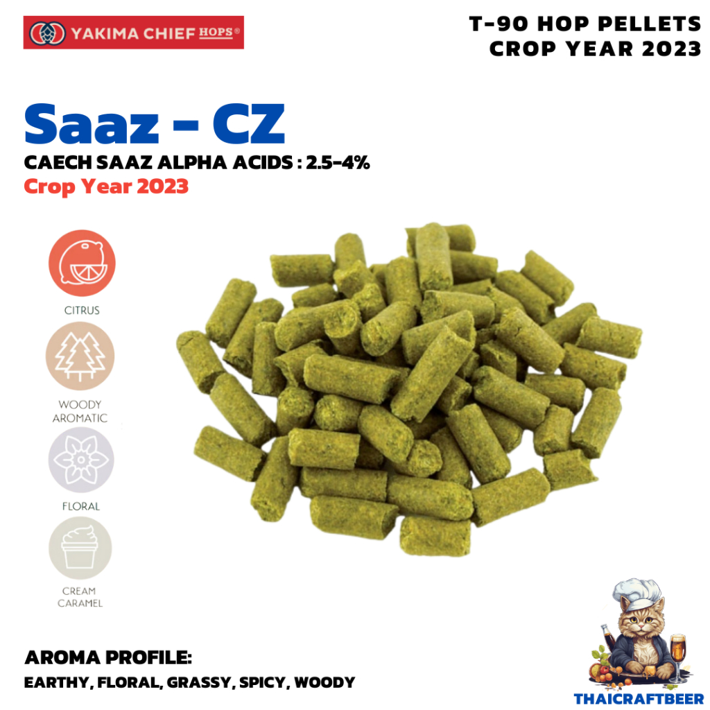 ฮอปทำเบียร์ ฮอป T90 Saaz CZ Hops Crop 2023 [Yakima Chief Hops] | Shopee Thailand