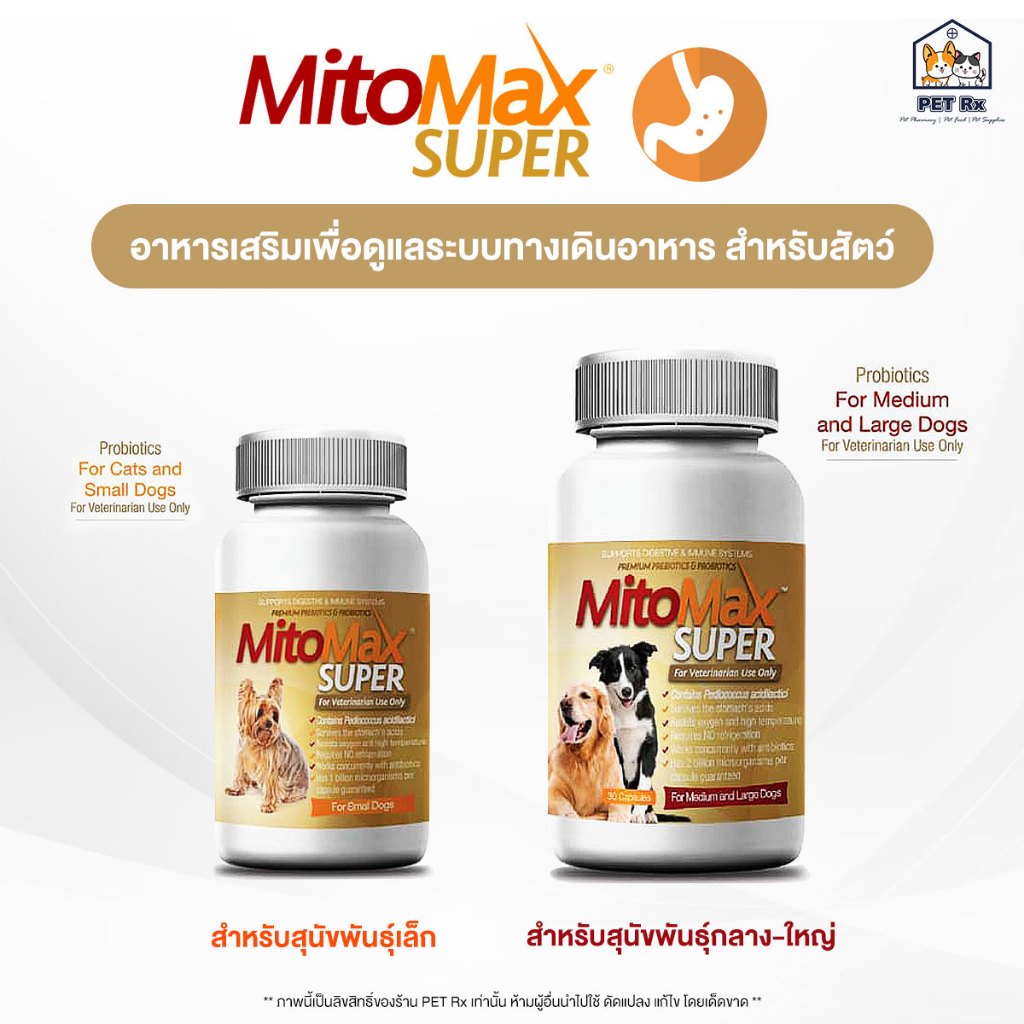 MitoMax SUPER [แท้💯] อาหารเสริมเพื่อดูแลระบบทางเดินอาหารสำหรับสัตว์ ...