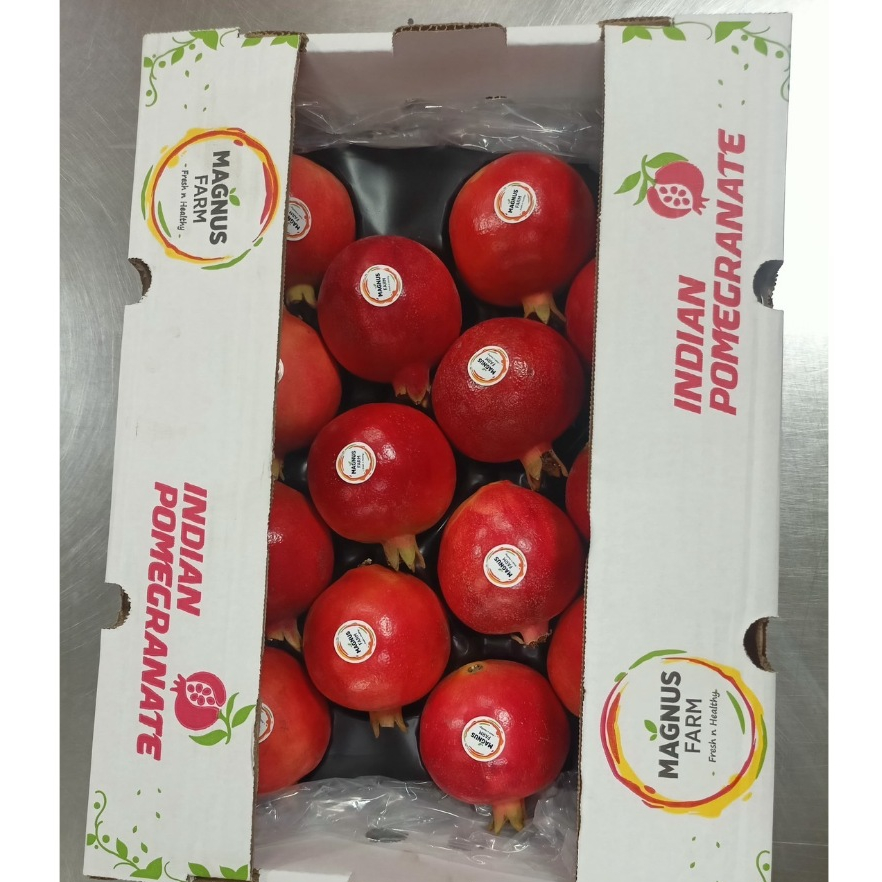 ทับทิมอินเดีย (ตรา Magnus Farm) 9-12 ลูก กล่องสีขาว หรือ กล่องสีดำ ...