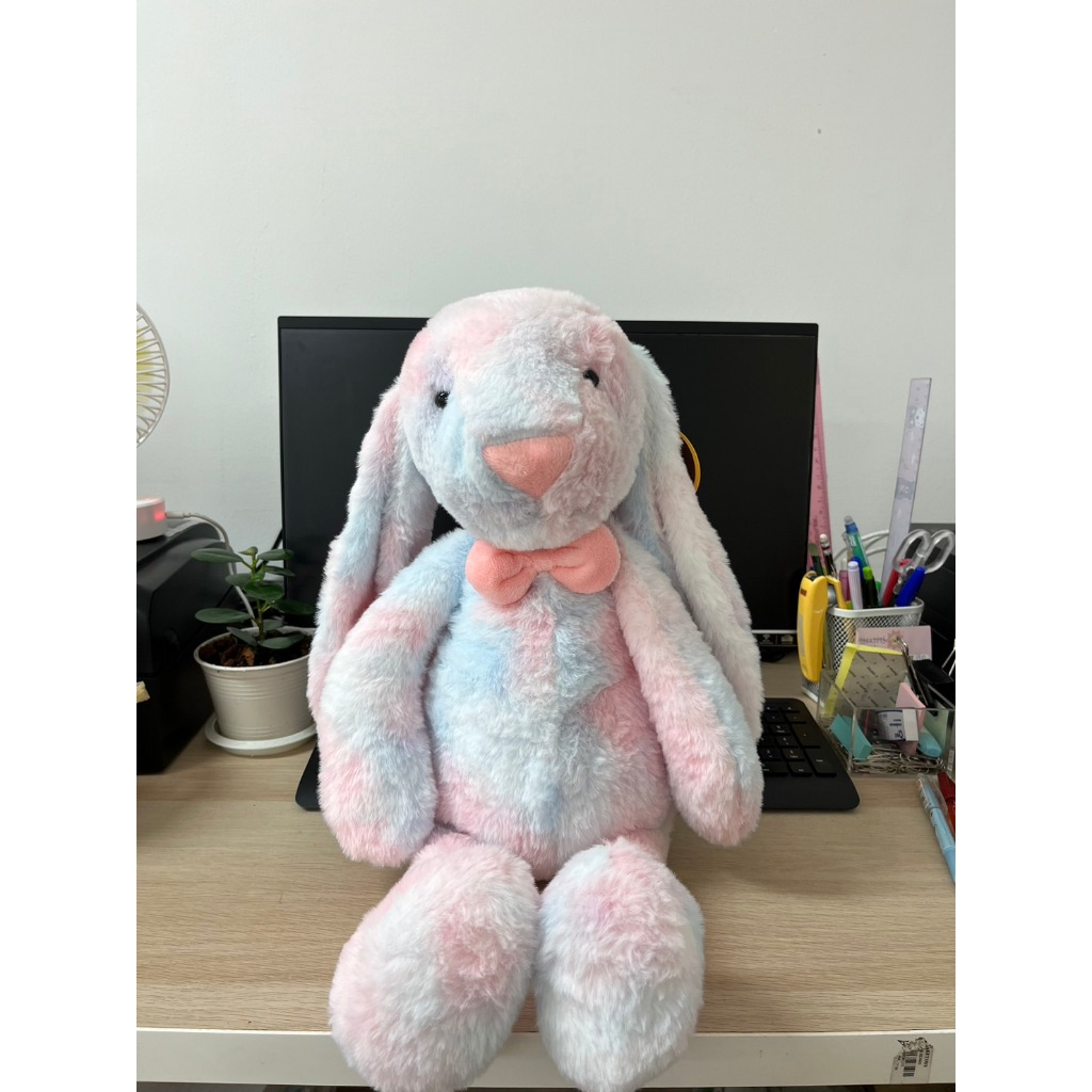 Mallow Bunny ตุ๊กตากระต่าย (Aneepark) | Shopee Thailand