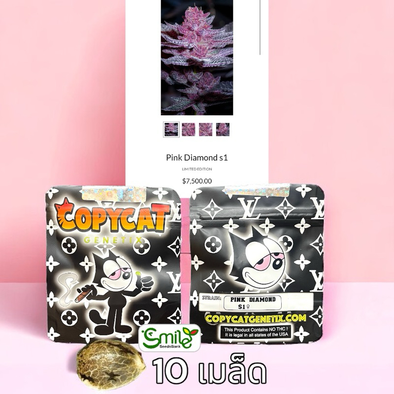 เมล็ดกัญชา Pink Diamond S1 (Fem) - Copycat Genetix | Shopee Thailand