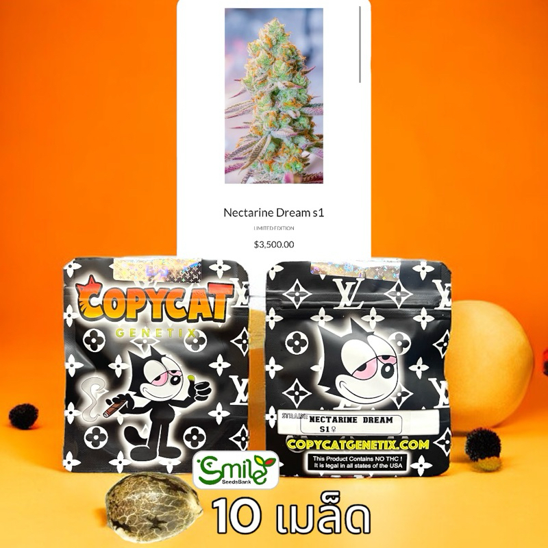 เมล็ดกัญชา Nectarine Dream S1 (Fem) - Copycat Genetix | Shopee Thailand