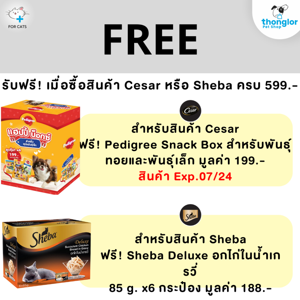 (ของแถม) Cesar/Sheba ครบ 599.- | Shopee Thailand