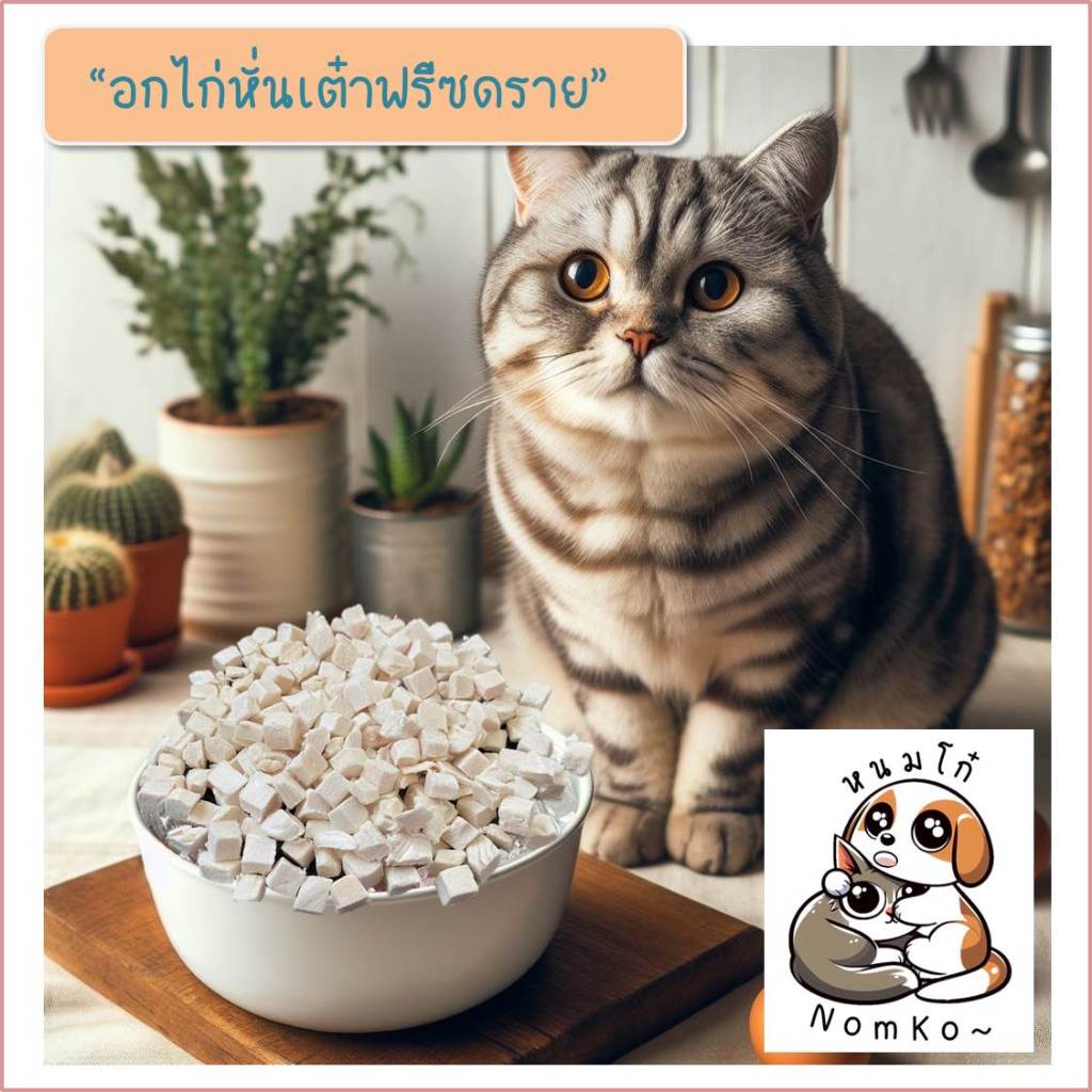 Nomko อกไก่ฟรีซดราย ขนมแมว ขนมสุนัข ขนมแมวไม่เค็ม อาหารแมวแบบแห้ง ...