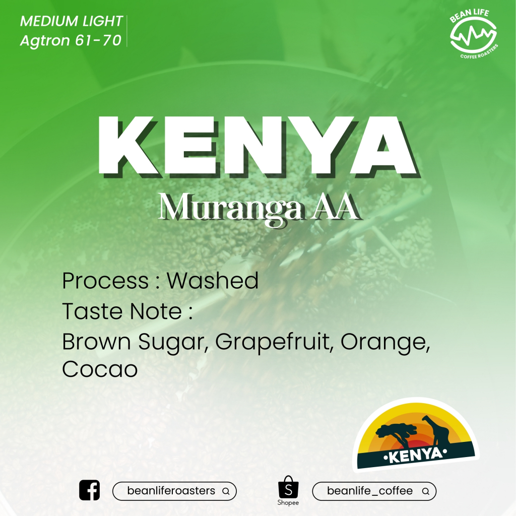 Kenya Muranga AA - Washed Process (Medium Light) | Shopee Thailand