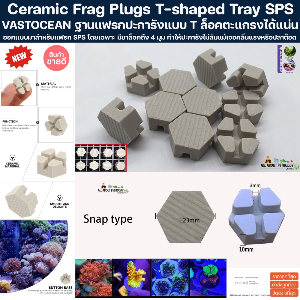 VASTOCEAN Ceramic Coral Frag Plugs T-shaped Tray SPS ฐานแฟรกปะการัง ...