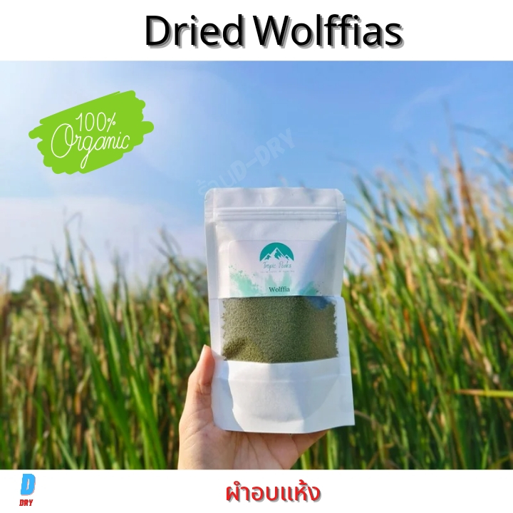 ผำอบแห้ง ไข่น้ำผง dried Wolffia 100% (plant protein) โปรตีนพืช 40G ...