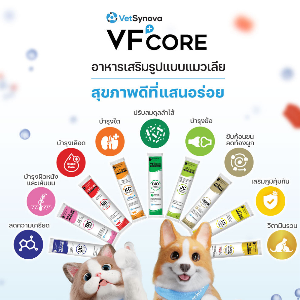 Vf core ขนมแมวเลียบรรจุ 30 ซอง ที่มีประโยชน์ VFcore บำรุงร่างกายสุนัขและแมว | Shopee Thailand