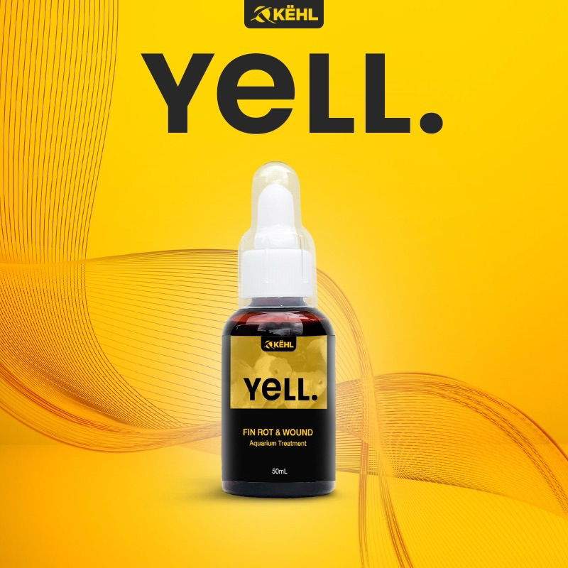 Yell. for aquarium & fish tanks | Shopee Thailand
