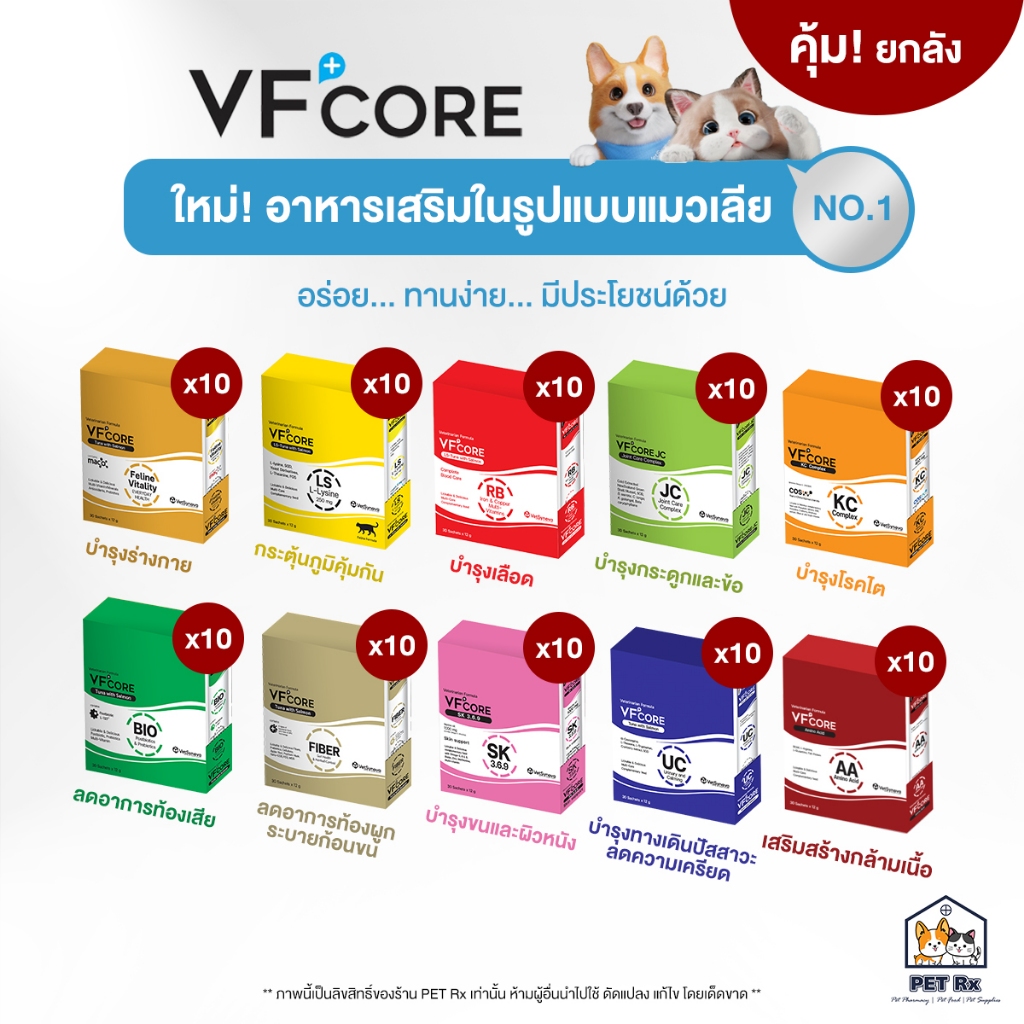 [ยกลัง! x 10] 🔥 VFcore [แท้💯] ใหม่! วีเอฟคอร์ อาหารเสริม ในรูปแบบขนมแมวเลีย | Shopee Thailand