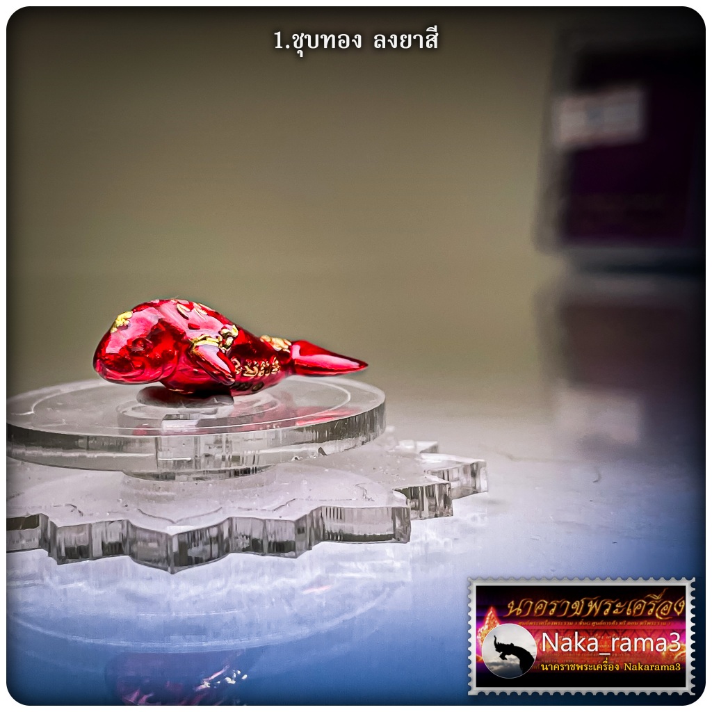 มันฉาพารวย ปลาพยูน ดุหยงจ้าวเศรษฐี เณรดอย เมืองตรัง จ.ตรัง | Shopee ...