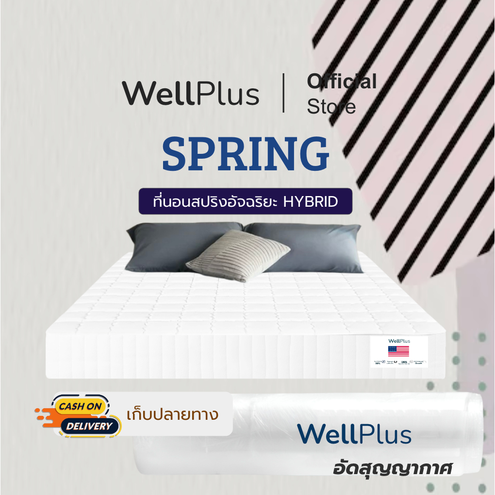 Wellplus อัดสุญญากาศ ที่นอนสปริง รุ่น Spring หนา 9 นิ้ว หนานุ่ม คุณภาพ ...