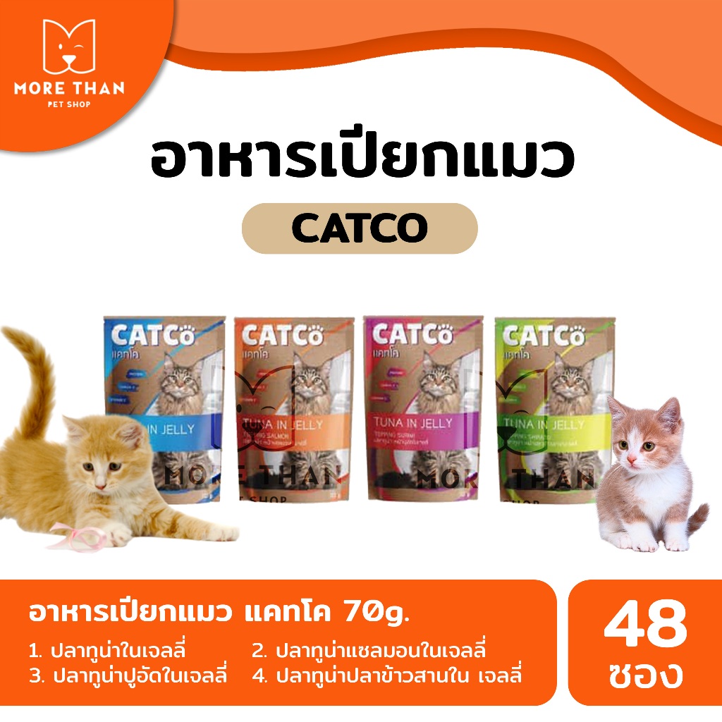 (NEW) 48ซอง CatCo อาหารเปียกน้องแมว แคทโค เนื้อเจลลี่ 70g. 48 ซอง | Shopee Thailand