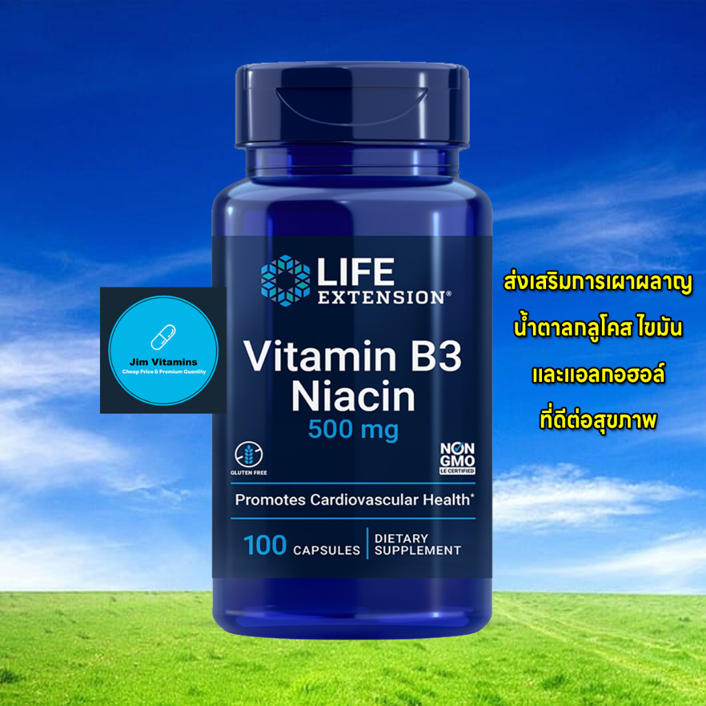 Life Extension Vitamin B3 Niacin 500 mg / 100 Capsules | Shopee Thailand
