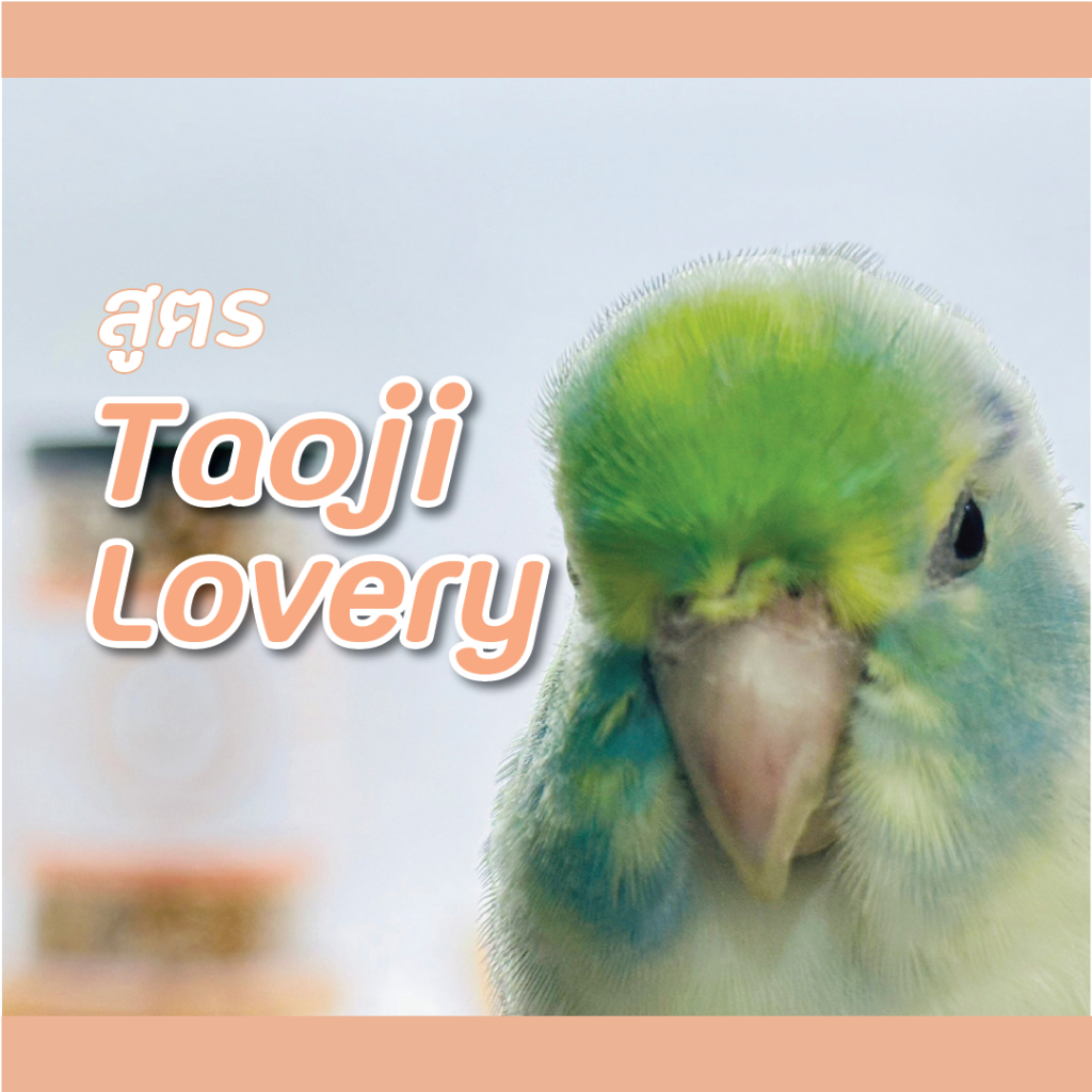 อาหารนกธัญพืช สูตรTaoji Lovery | Shopee Thailand