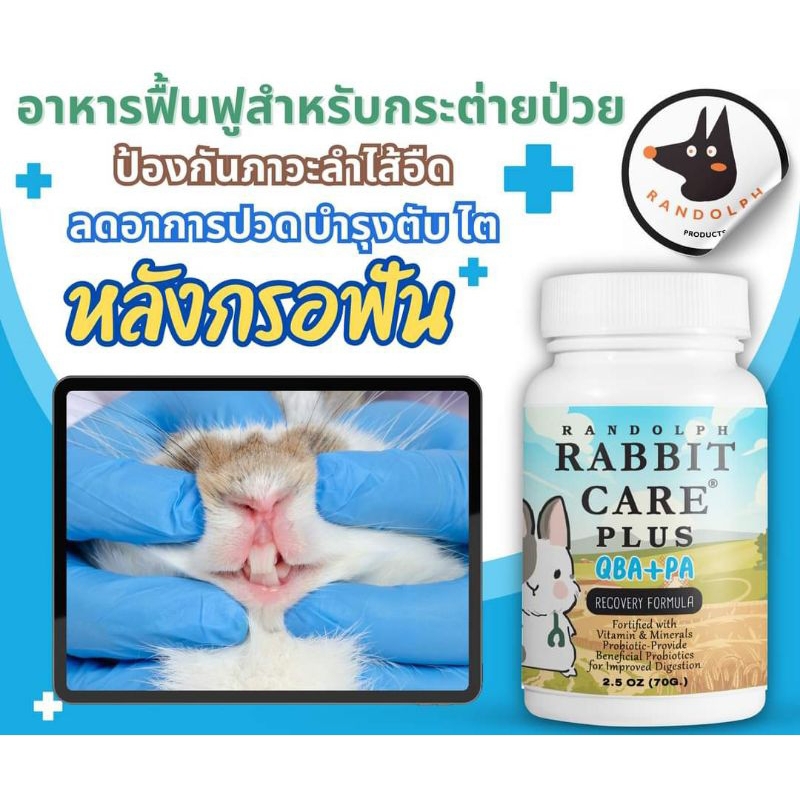 RANDOLPH RABBIT CARE อาหารเสริมพลังงานกระต่ายป่วย สูตร QBA+PA (10 ...