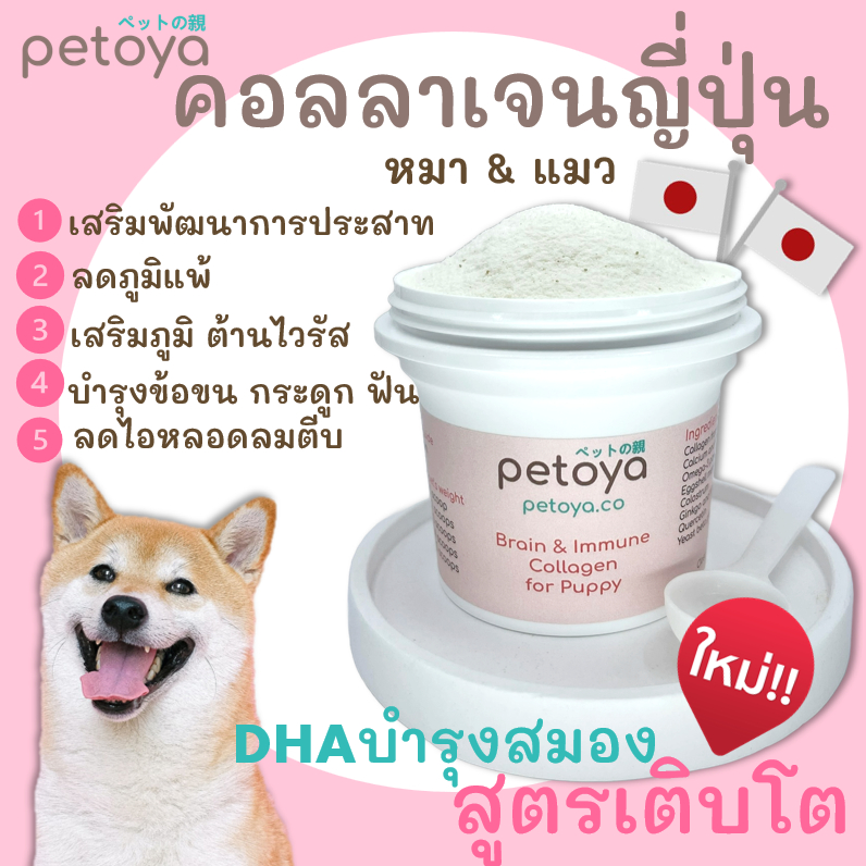 Petoya คอลลาเจนญี่ปุ่น สูตรเติบโต เสริมพัฒนาการ สำหรับสุนัขและแมวอายุ 2 เดือนถึง 5 ปี | Shopee ...