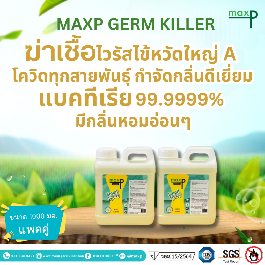 (แพคคู่) Maxp น้ำยาฆ่าเชื้อ มี อย. ฆ่าเชื้อโควิด เชื้อไข้หวัดใหญ่และ ...