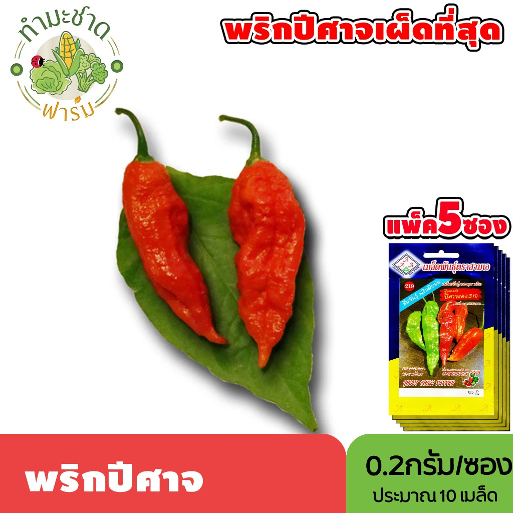 [แพ็ค 5 ซอง] 3A เมล็ดพันธุ์ พริกปีศาจ ขนาดซองละ0.2กรัม ประมาณ10เมล็ด ...