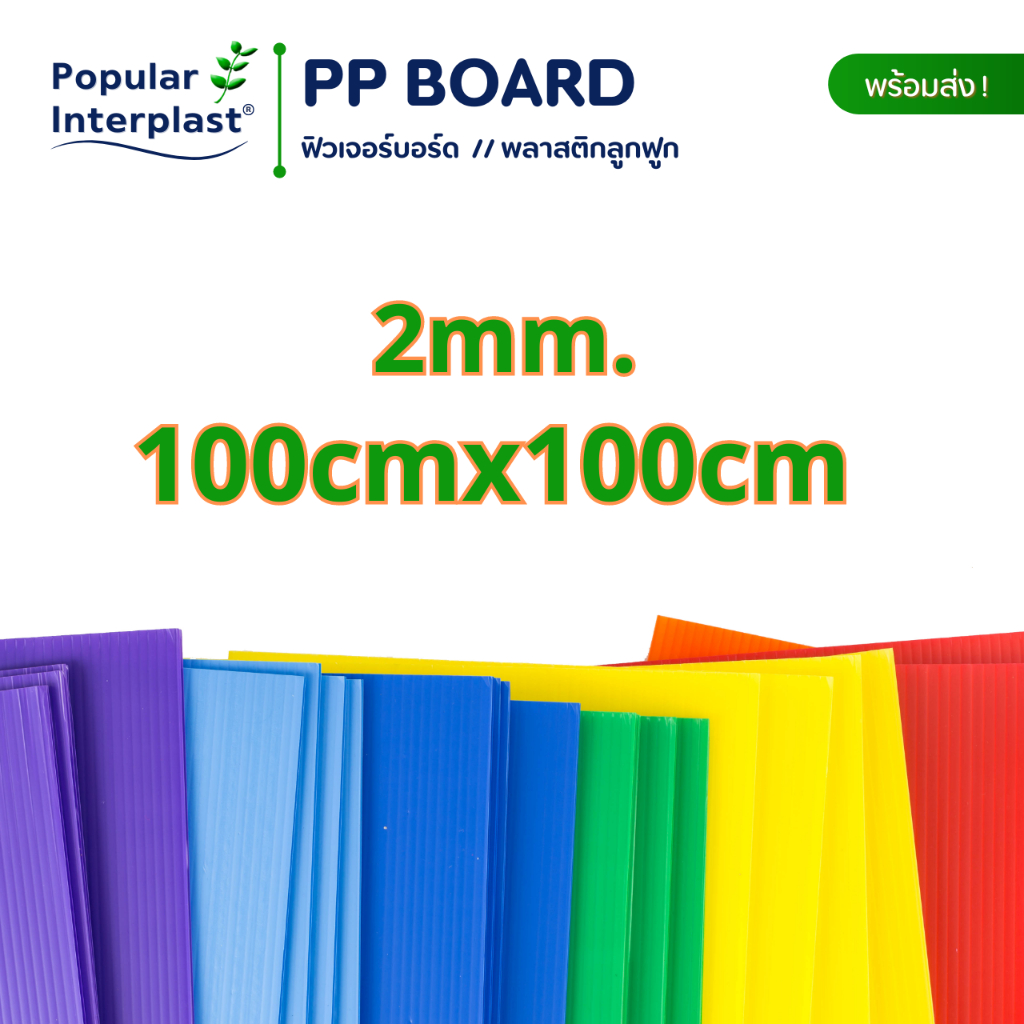 POPIN PP BOARD ฟิวเจอร์บอร์ด ขนาด:100x100cmxหนา 2mm.[ยกแพ็ค] ตามตามขนาด ...