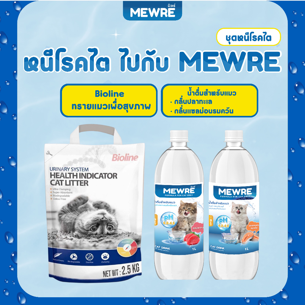 MEWRE x Bioline น้ำดื่มเพื่อสุขภาพสำหรับเเมว และทรายเเมวเต้าหู้ตรวจสุขภาพ (F1L+S1L+Bio) | Shopee ...