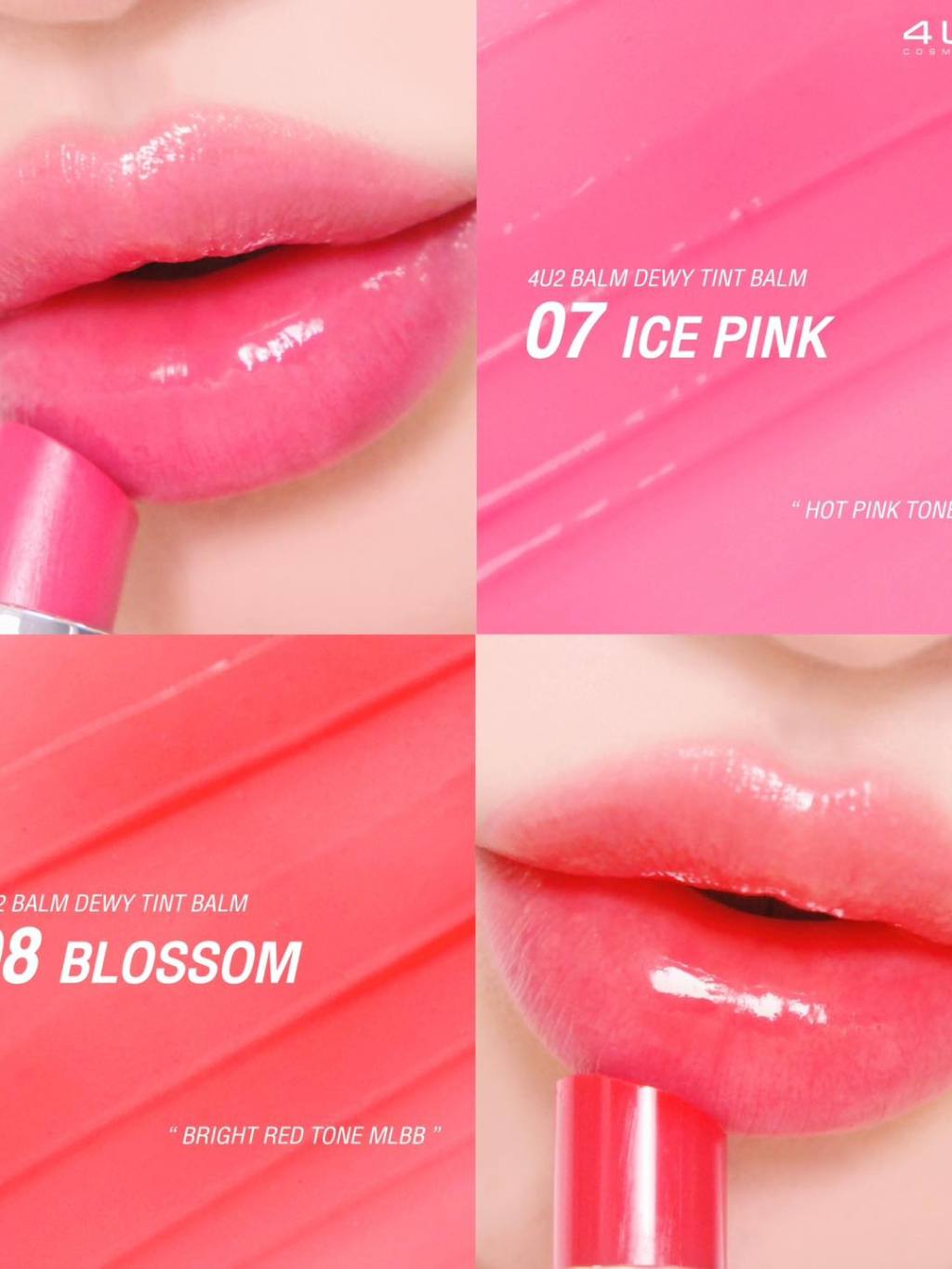 𝟒𝐔𝟐 𝐁𝐀𝐋𝐌 𝐃𝐄𝐖𝐘 𝐓𝐈𝐍𝐓 𝐁𝐀𝐋𝐌 “ทินท์บาล์มดิวอี้” | Shopee Thailand