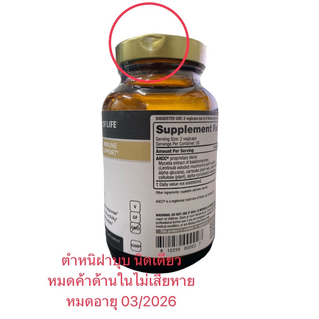 Premium Kinoko Gold AHCC Supplement–500mg of AHCC per Capsule–Supports ...