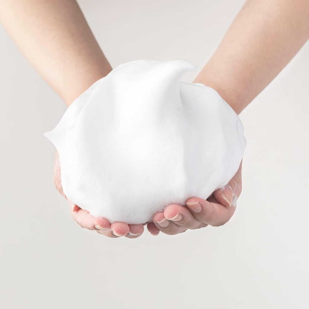 SANA NAMERAKAHONPO CLEANSING WASH Foam 150 g. (โฟมเต้าหู้) | Shopee Thailand