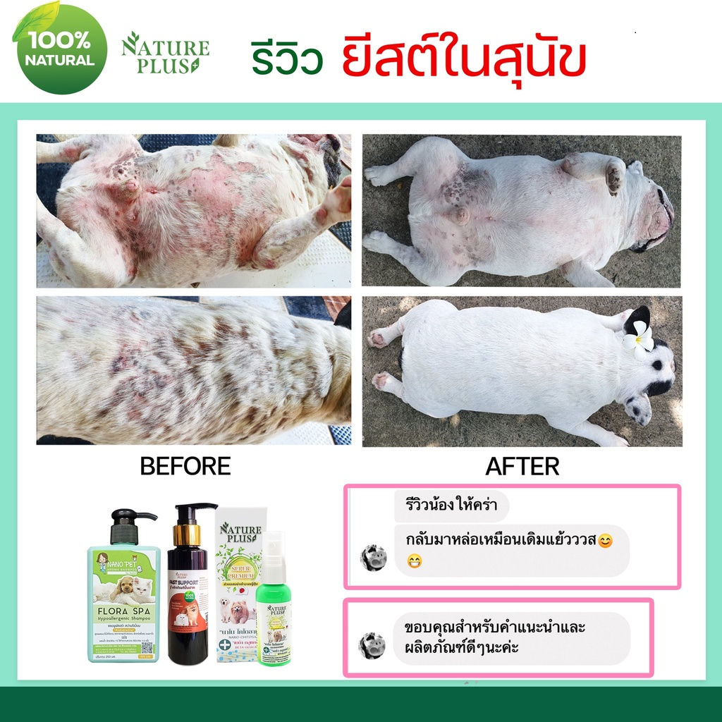 แชมพู (ขายดีมาก) Nano Pet สูตร Flora Spa ผิวหนัง คัน ขนร่วง สำหรับน้อง ...