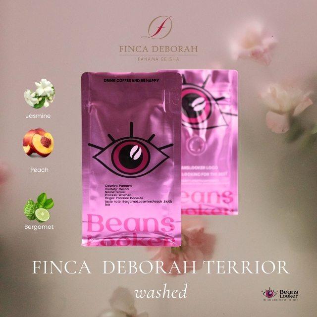 Finca deborah terrior Gesha | Shopee Thailand