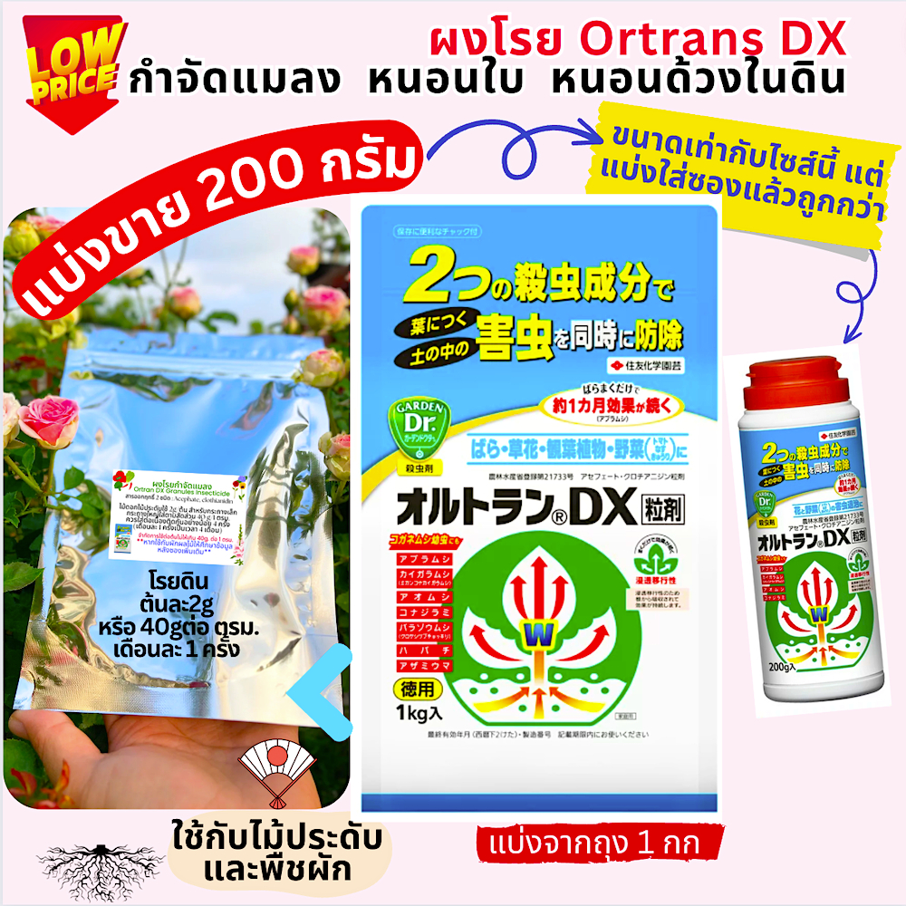 ผงโรยกำจัดแมลง ทั้งบนต้นและในดิน Ortran DX granules Insecticide 1 Kg ...
