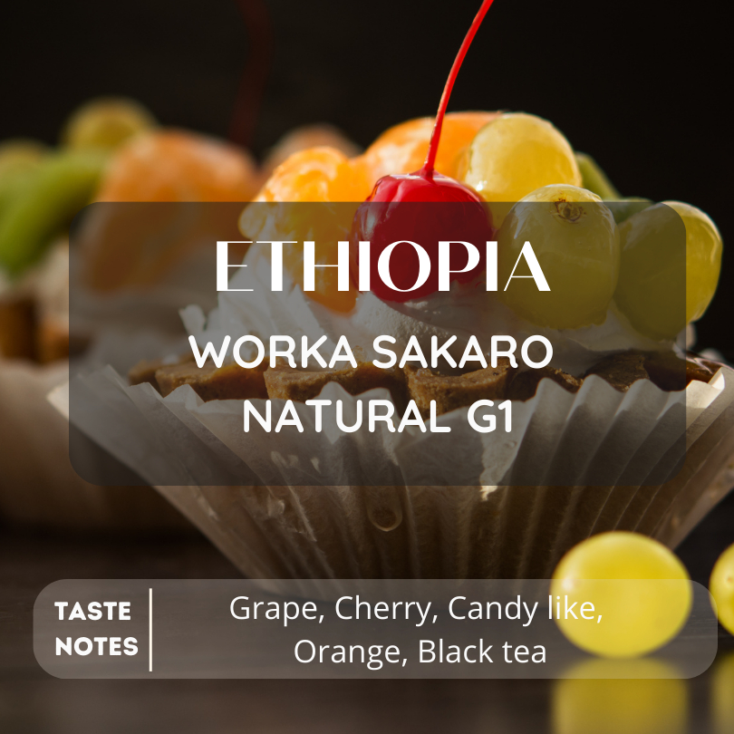 New Variety! สารกาแฟ Ethiopia Worka Sakaro Natural G1 | Shopee Thailand