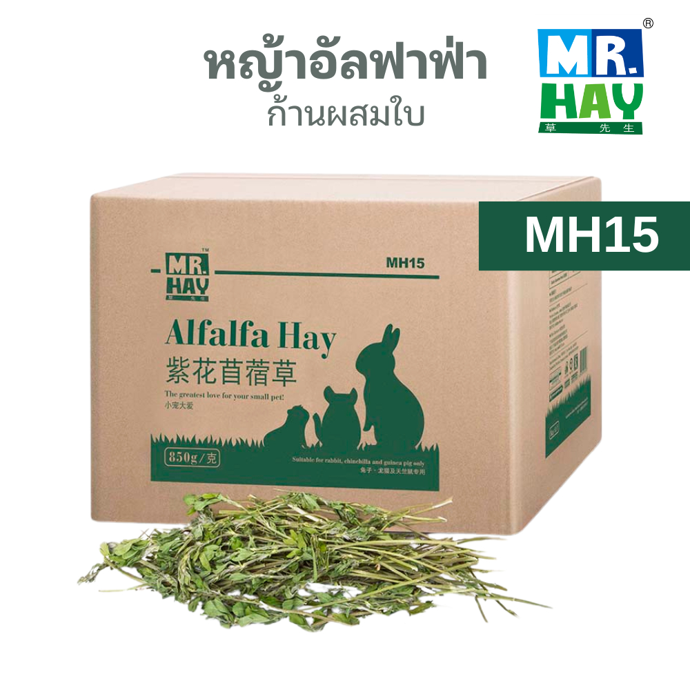 Mr.hay (มิสเตอร์เฮย์) MH15 Alfalfa Hay Gift Boxset หญ้าอัลฟาฟ่า ก้านผสม ...