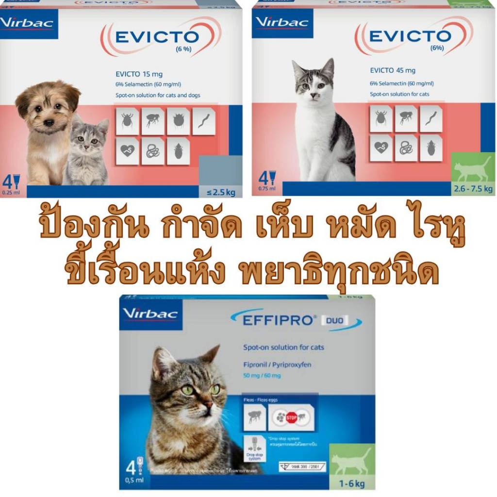 Virbac Effipro Duo & Evicto Spot On ผลิตภัณฑ์กำจัด เห็บ หมัด ไรหู ชนิด ...