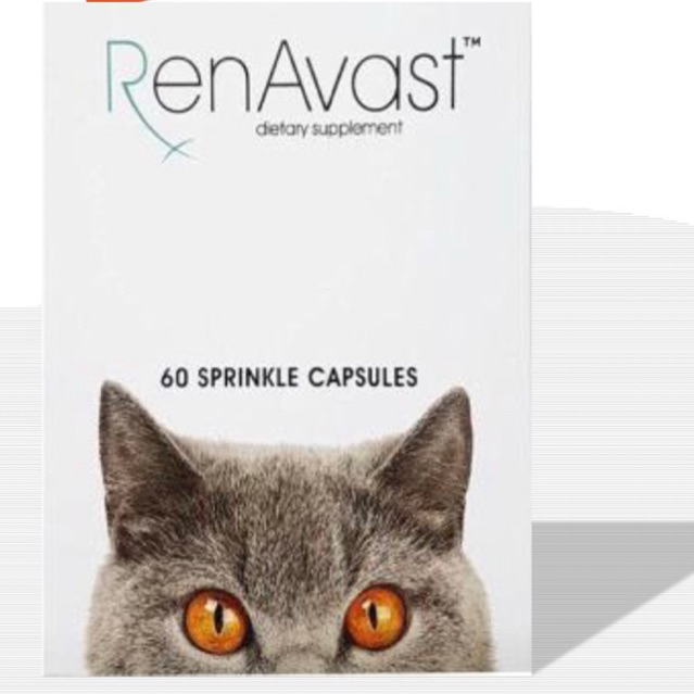 RenAvast cat 60 capsules เรนอะวาสท์ อาหารเสริมบำรุงไตสำหรับแมว | Shopee ...